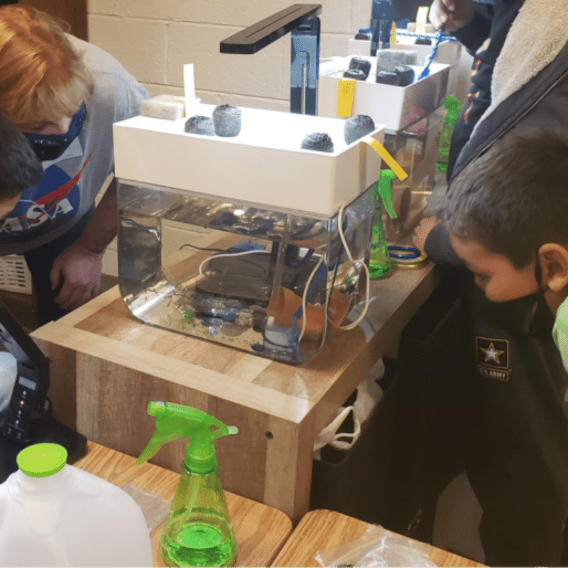 Raw vs. Cooked Vegetables, Which is Better? - The I Will Projects