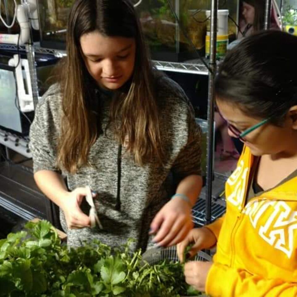 Raw vs. Cooked Vegetables, Which is Better? - The I Will Projects