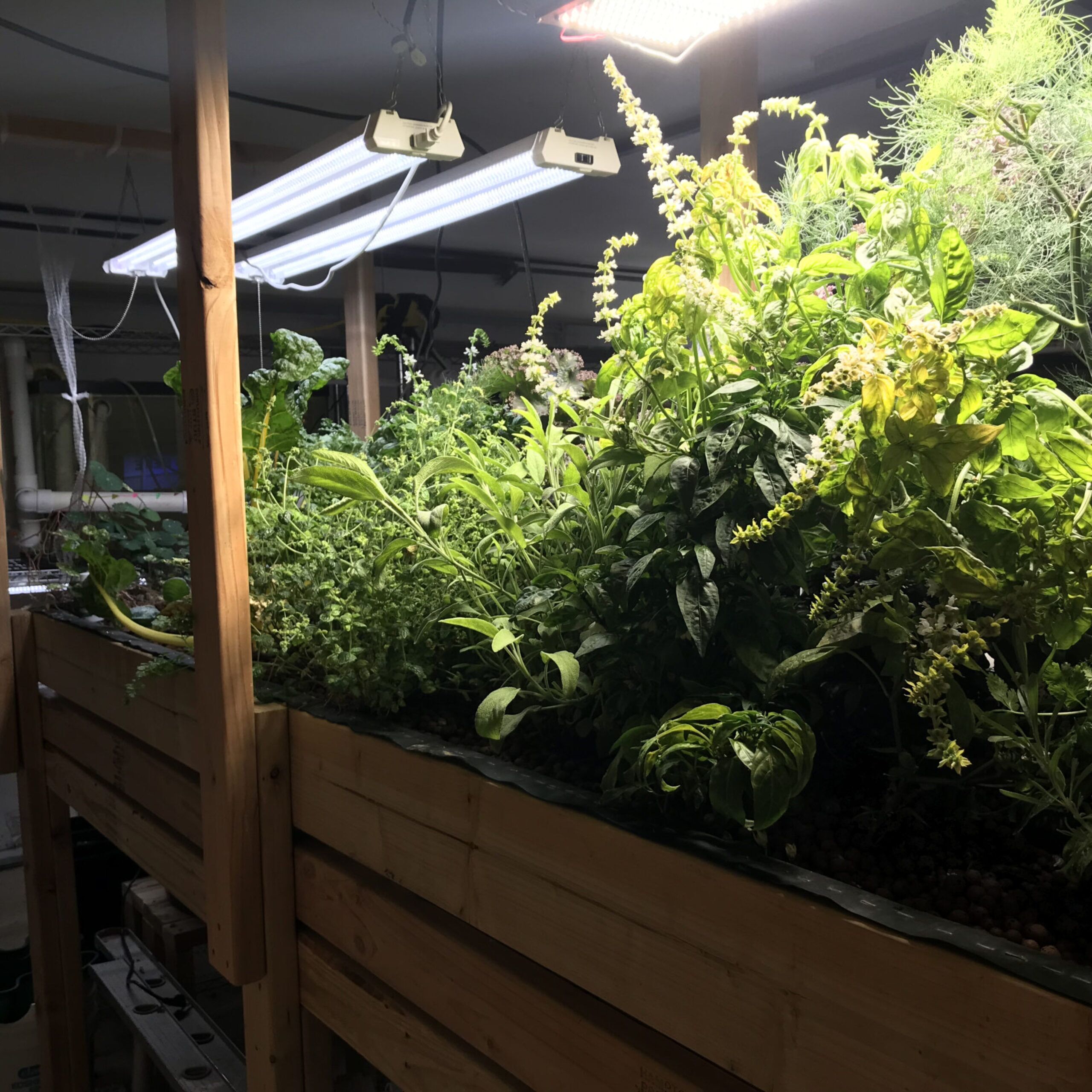 The Pros and Cons of Traditional Farming - The I Will Projects