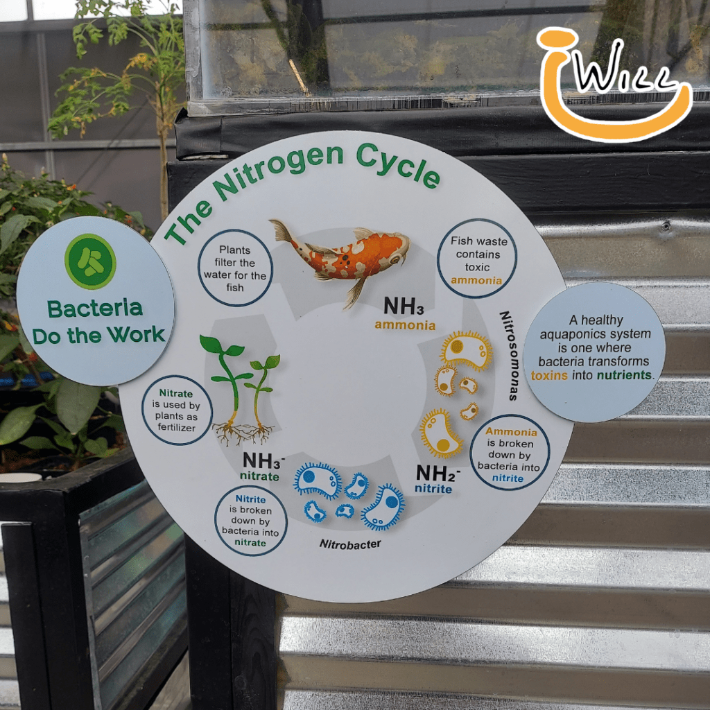 Hands-On Learning Activities for Kids - The I Will Projects